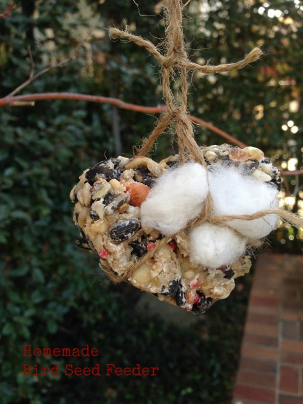 How to Make Valentine Bird Seed Feeders - grace grits and gardening