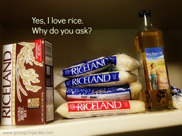 Rice Pineapple Tropical Pudding - grace grits and gardening