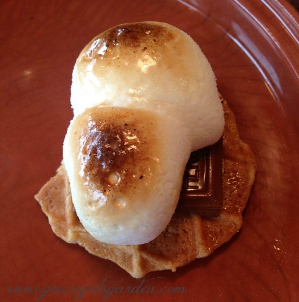 Fancy Raspberry S’mores - grace grits and gardening