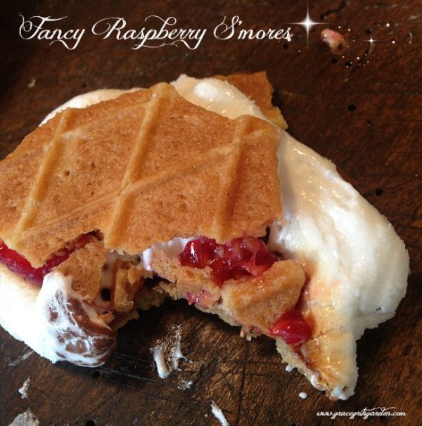 Fancy Raspberry S’mores - grace grits and gardening