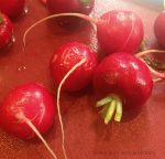 Simple Summer Salad - grace grits and gardening