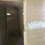 a day in the Ozarks is a day well spent - grace grits and gardening