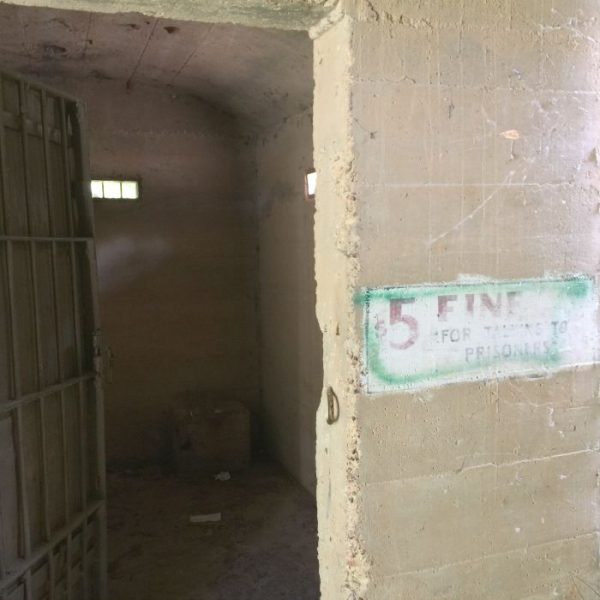 a day in the Ozarks is a day well spent - grace grits and gardening