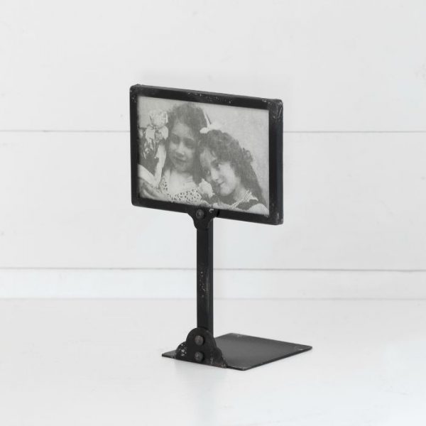 Specimen Frames – Dried Flowers on Display - grace grits and gardening