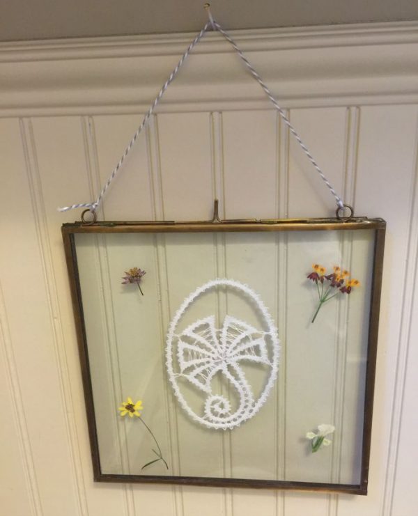 Specimen Frames – Dried Flowers on Display - grace grits and gardening