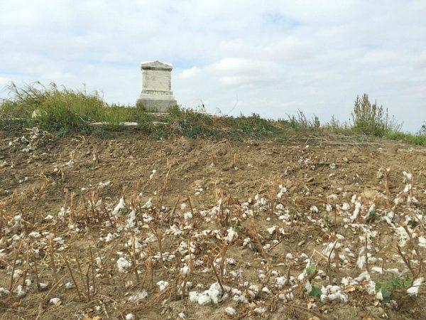 Wilson, Arkansas: How Geography Shapes a Place - grace grits and gardening