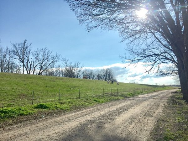 Wilson, Arkansas: How Geography Shapes a Place - grace grits and gardening