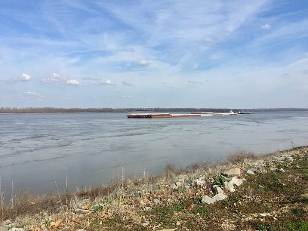 Wilson, Arkansas: How Geography Shapes a Place - grace grits and gardening