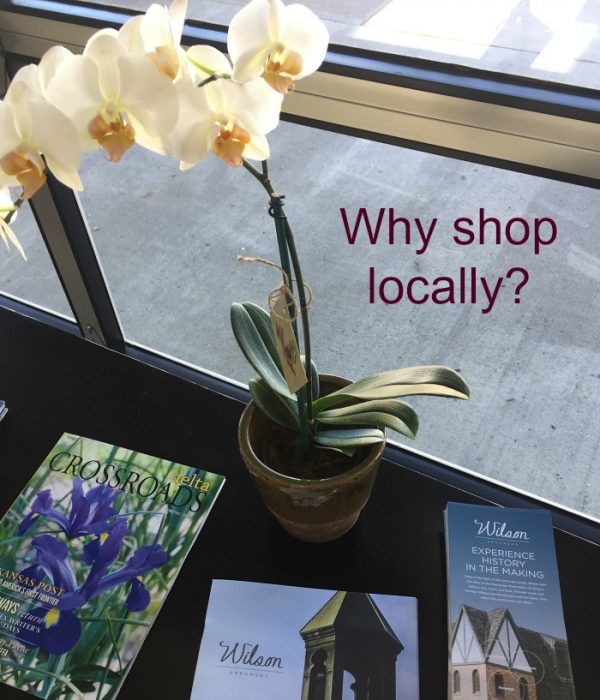 Shop Locally in Wilson (plus exciting news!) - grace grits and gardening