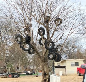 Things I Brake for in the Delta - grace grits and gardening