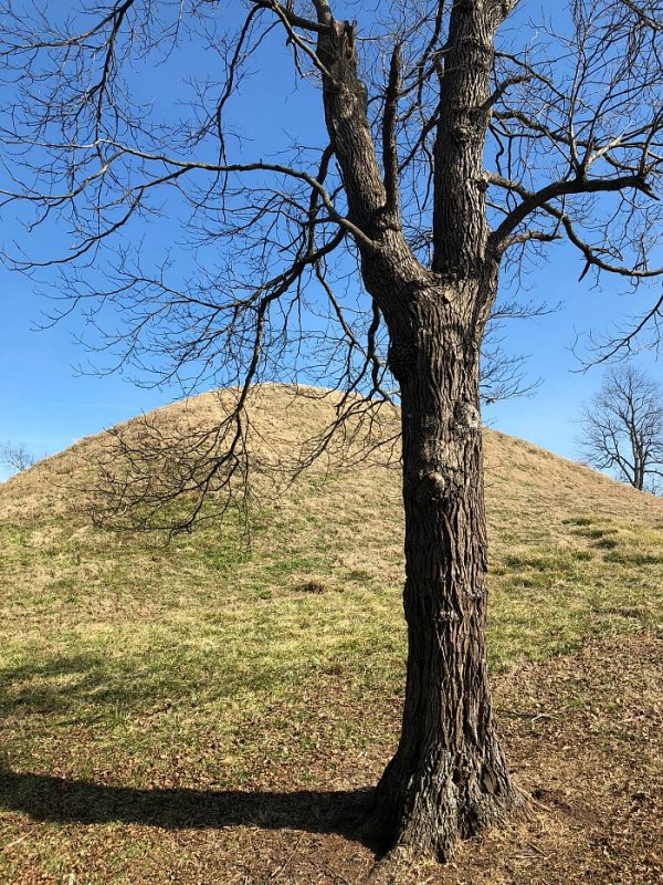 Toltec Mounds Archeological State Park - grace grits and gardening