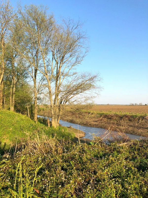 Going on a Farm Walk (with Gracie Lee) - grace grits and gardening