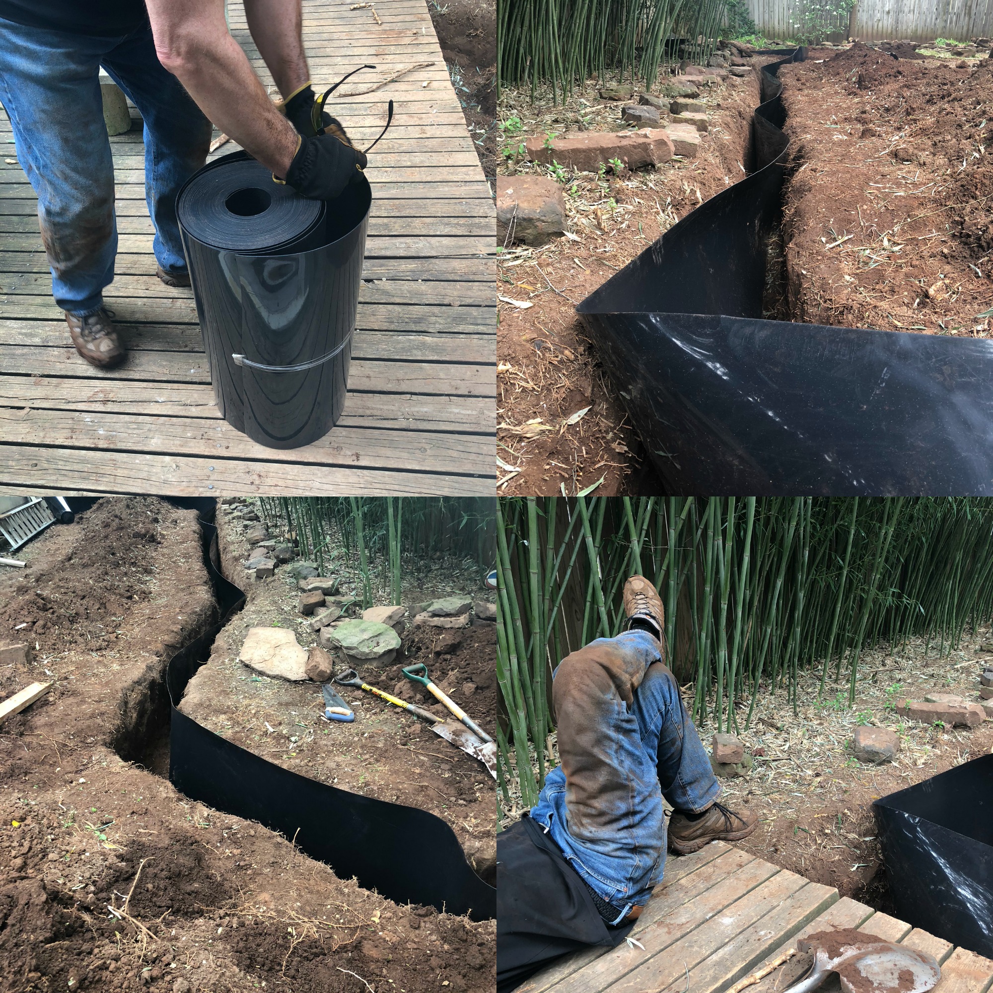 Our Island of (not so) Heavenly Bamboo - grace grits and gardening