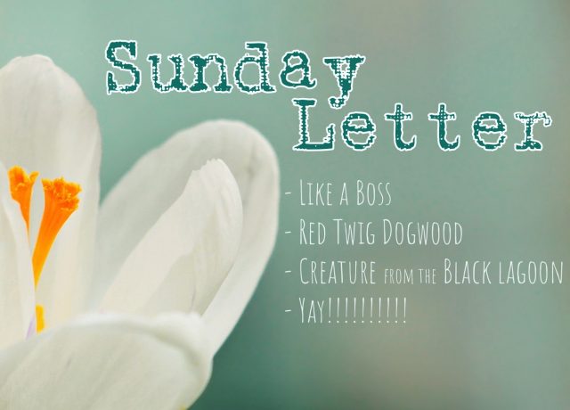 Sunday Letter: 02.10.19 - grace grits and gardening