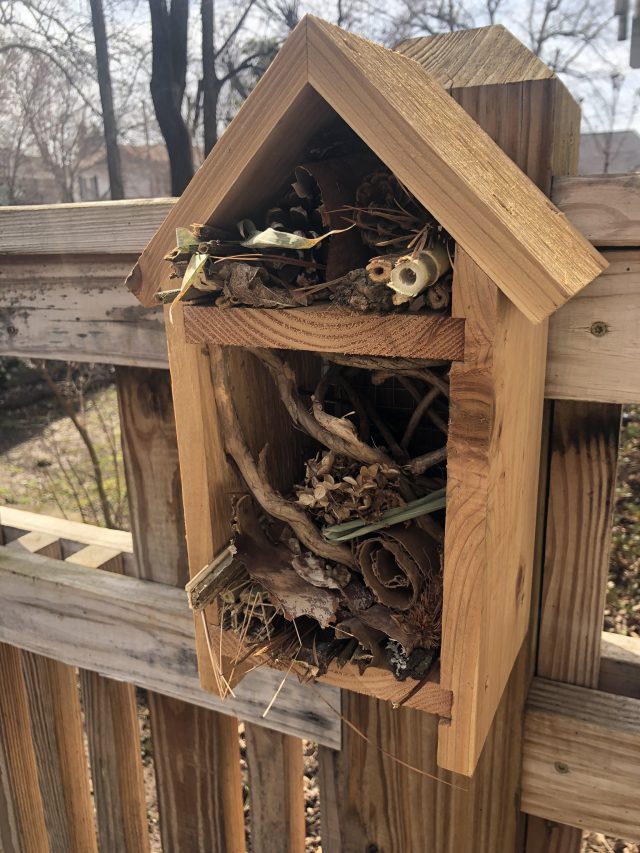 How to Make an Insect Hotel (and why you should) - grace grits and ...