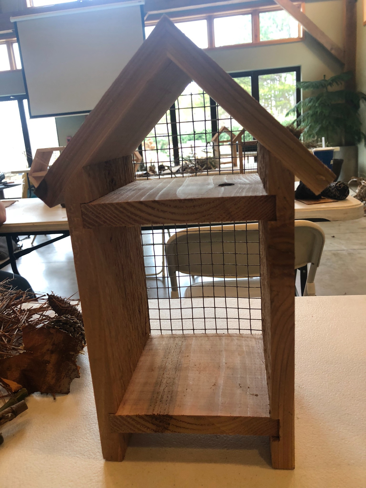 How to Make an Insect Hotel (and why you should) - grace grits and ...