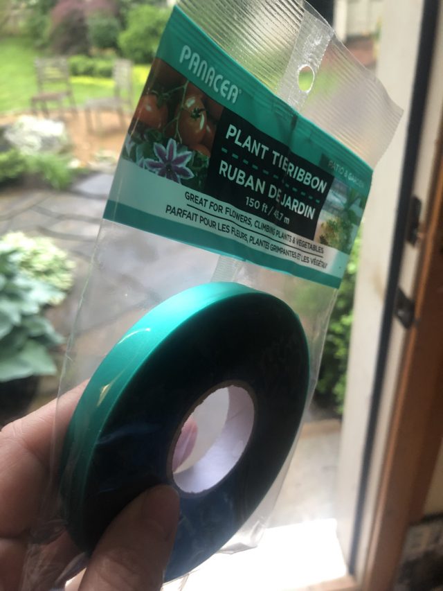 Climbing Roses: How to Train Them - grace grits and gardening