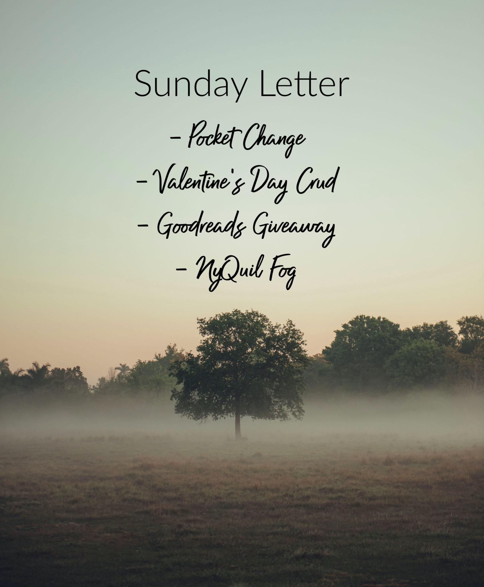 Sunday Letter: 02.16.2020 - grace grits and gardening