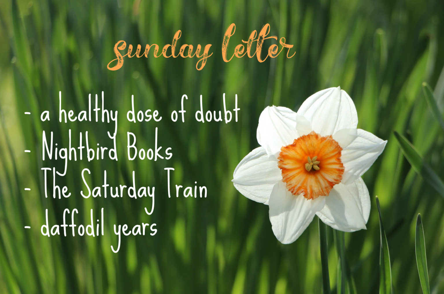 Sunday Letter: 02.23.20 - grace grits and gardening