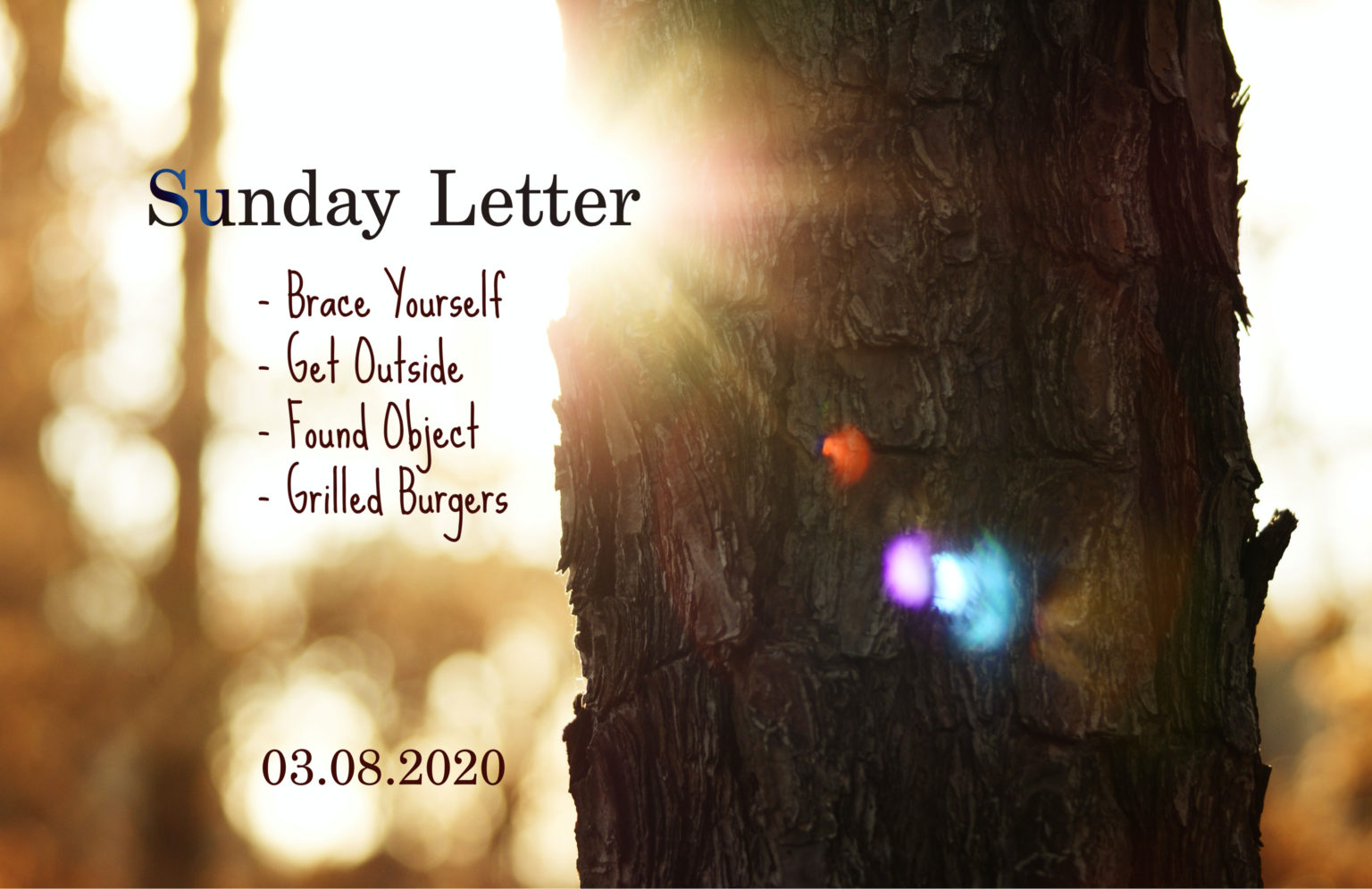 Sunday Letter: 03.08.2020 - grace grits and gardening