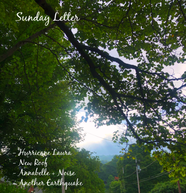 Sunday Letter: 08.30.2020 - grace grits and gardening