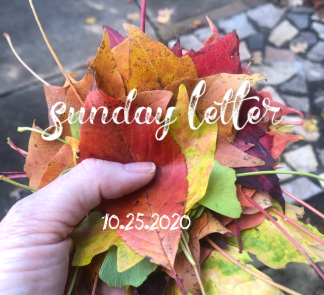 Sunday Letter: 10.25.2020 - grace grits and gardening