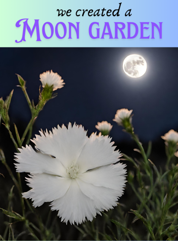 We Created a Moon Garden! - grace grits and gardening