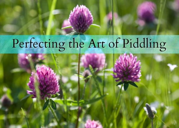 The Art of Piddling - grace grits and gardening